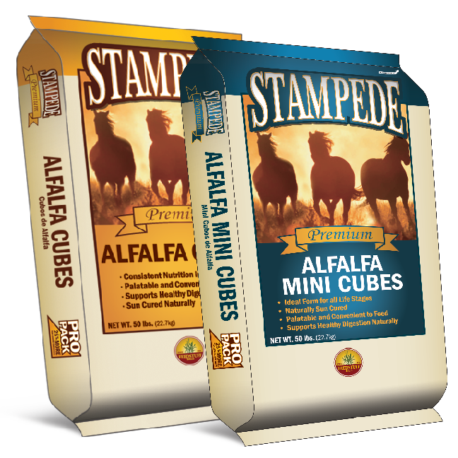 Product Information Sheets | Stampede Premium Forage | Consistently ...