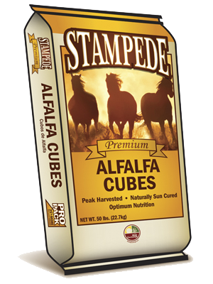Alfalfa Cubes | Stampede Premium Forage | Consistently Consistent